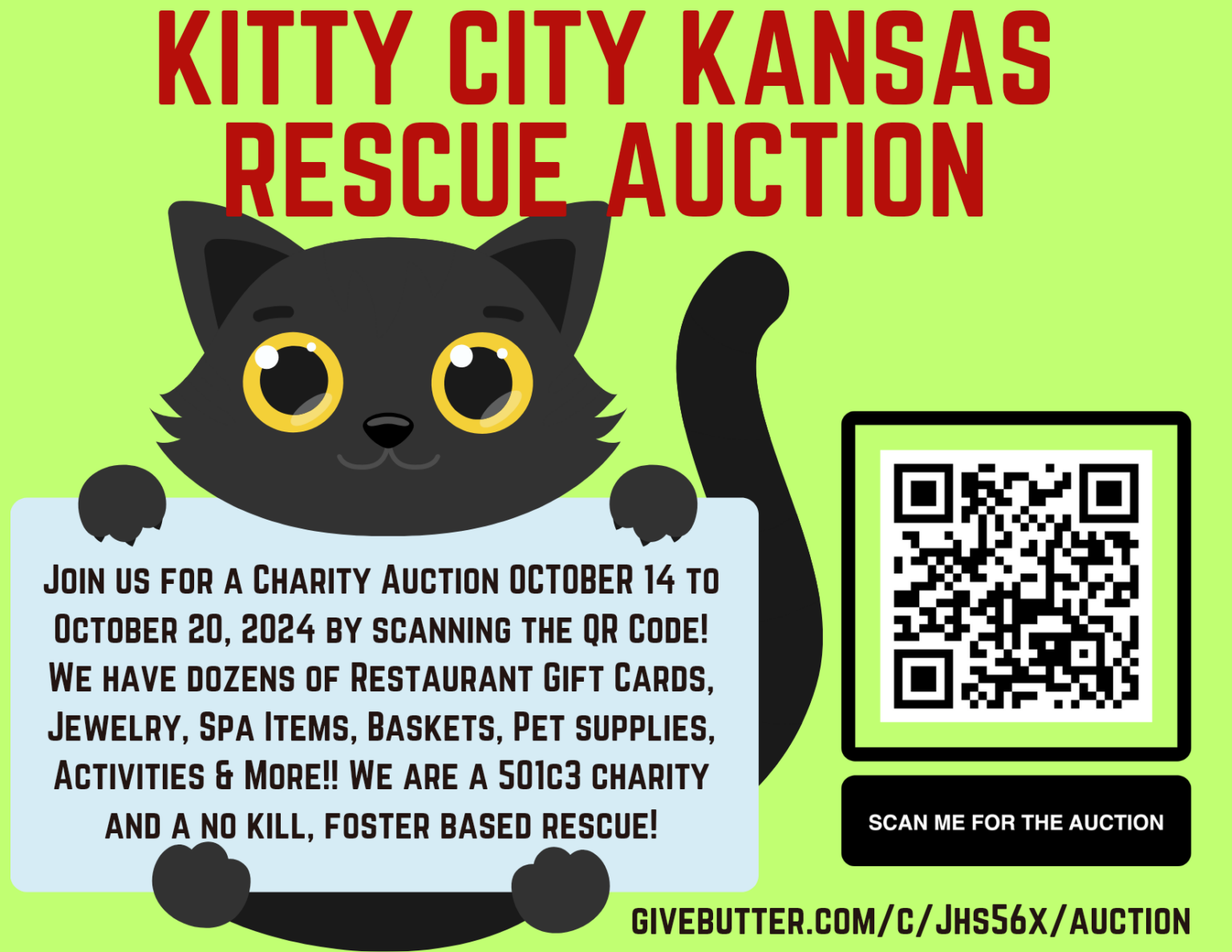 Kitty City Kansas Rescue – Cat Foster and Adoption Organization